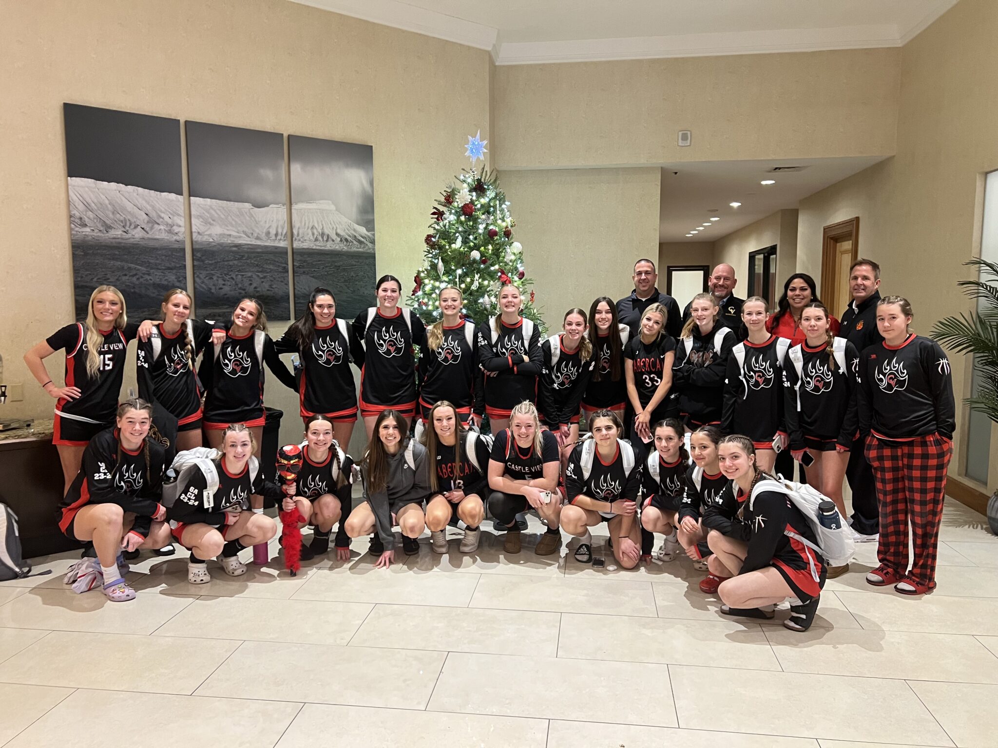 Castle View Lady Hoops – Castle View Lady Hoops